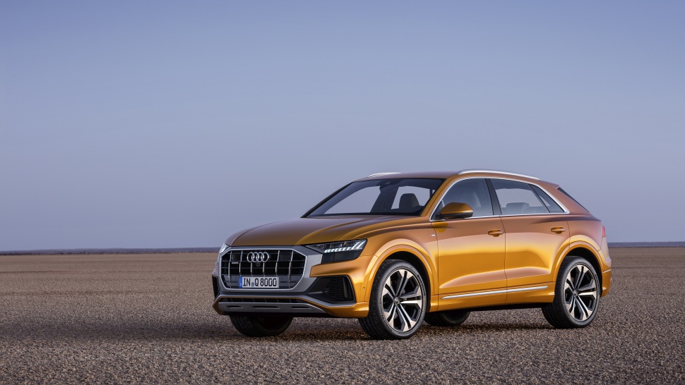 Audi Q8 50 TDI (286 Hp) quattro MHEV tiptronic